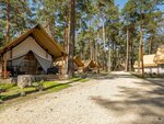 Tent Lodge With Bathroom, Maastricht at 16 km (Limburg, Zutendaal), kamp alanları  Limburg'dan