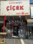 Gardenya Çiçek (Değirmiçem Mah., Kıbrıs Cad., No:18D, Şehitkamil, Gaziantep), çiçekçiler  Gaziantep'ten