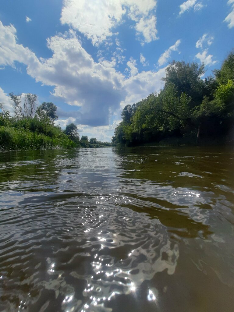 Plaj Пляж, Tambovskaya oblastı, foto