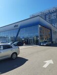 Notary Seitova Zh. B. (Turan dańǵyly No:51), noterler  Astana'dan