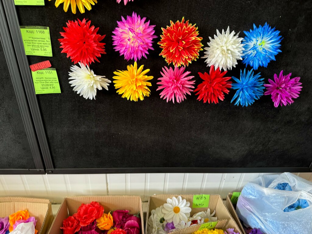 Yapay bitki ve çiçek Magnoliya, Novosibirskaya oblastı, foto