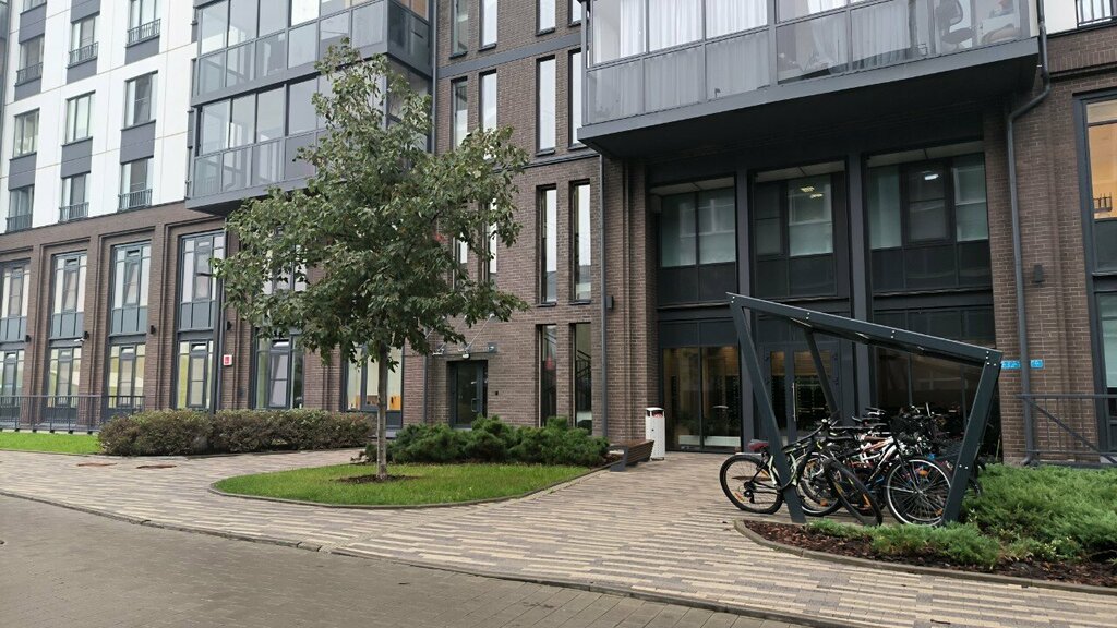 Hayırsever konteyner Spasibo! Kontejner, Saint‑Petersburg, foto