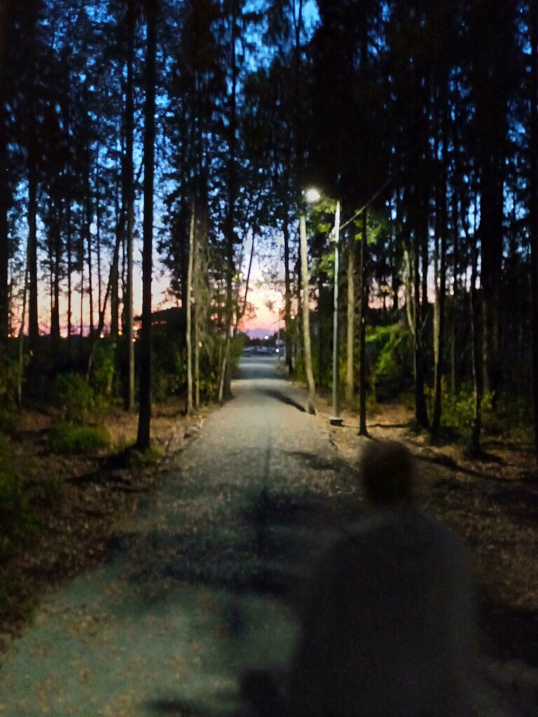 Parklar ve ormanlar Zaschitnikov Goroda Park, Petrozavodsk, foto