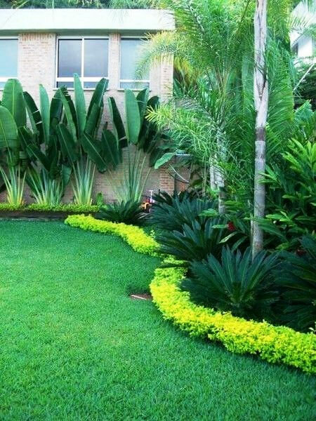 Sera ve bahçe ürünleri Mi Jardín - Serv. Jardinería & Paisajismo, Santa‑Krus, foto