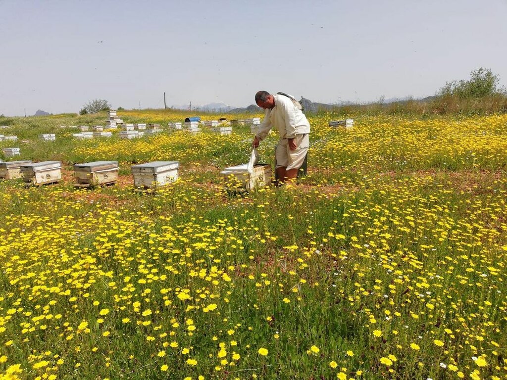 Market Tuncay Yatar Arıcılık, Seydişehir, foto