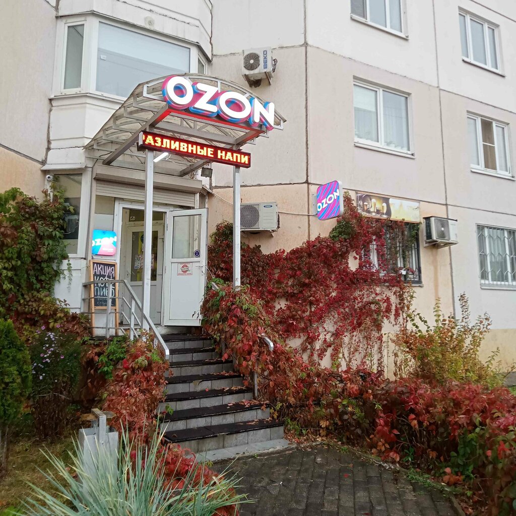Teslimat noktası Ozon, Balaşiha, foto
