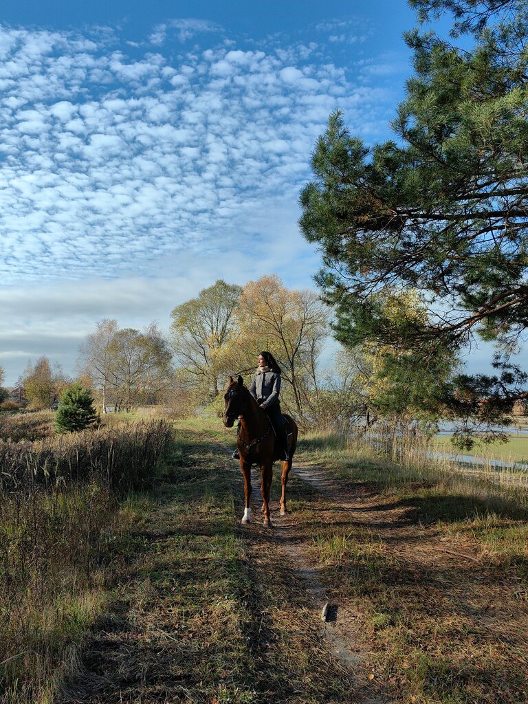 At ve binicilik kulüpleri Конные прогулки, Moskova ve Moskovskaya oblastı, foto