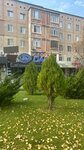 Advokat Kydyrbaev N. S. (No:24, Sportıvnyı shaǵyn aýdany), avukatlar  Çimkent'ten (Şımkent'ten)