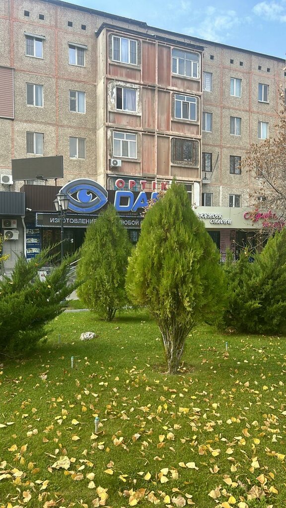Avukatlar Advokat Kydyrbaev N. S., Çimkent (Şımkent), foto