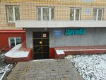 Дружба (Presnensky Lane No:2), spor kulüpleri  Moskova'dan