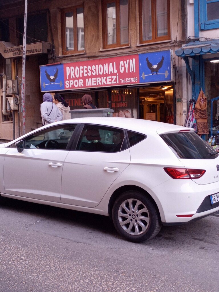 Fitness kulüpleri Professional Gym Spor Merkezi, Bursa, foto