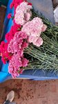 Flower shops (Tashkent, Sergeli District, Citizen assemblies of Bunyodobod Mahallah), çiçek pazarı  Taşkent'ten