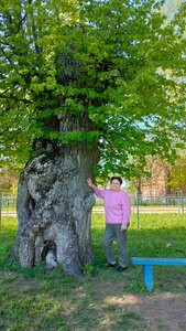 Заброшенная. Деревня. Алферово (Bryansk Region, Rognedinskiy rayon, Tyuninskoye selskoye poseleniye), turistik yerler  Brianskaya oblastından