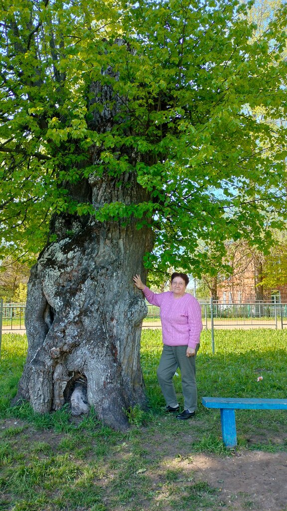 Turistik yerler Заброшенная. Деревня. Алферово, Brianskaya oblastı, foto