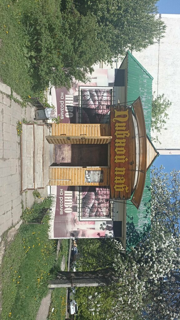 Bira dükkanı Пивной паб, Orel, foto