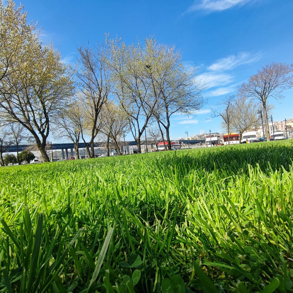 Kültür ve eğlence parkları Ayvansaray Parkı, İstanbul, foto