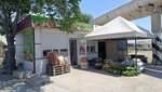 Fruit and vegetable store (Mańǵystaý oblysy, Aktau), manavlar  Aktav'dan