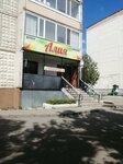 Aliya (No:7, Vasılkovskıı yqsham aýdany), market  Kökşetav'dan