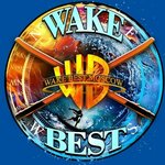 Wake best (Naberezhnaya ulitsa No:5), wakeboarding  Gelencik'ten