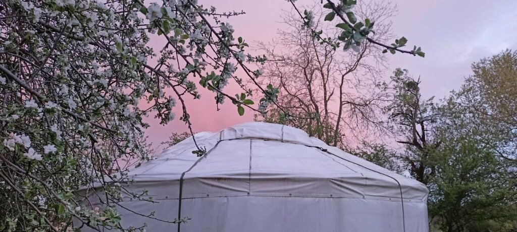 Tatil köyleri Усадьба друзей, Krasnodarski krayı, foto