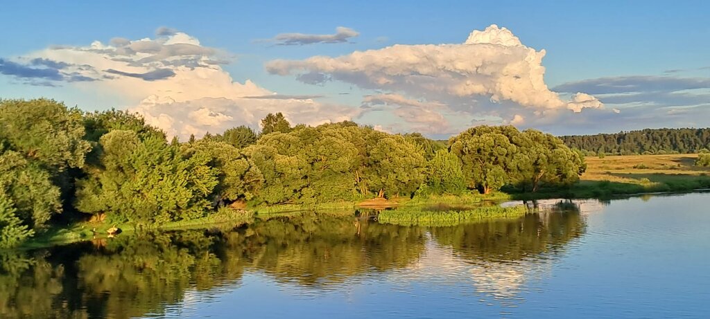 Plaj Пляж, Moskova ve Moskovskaya oblastı, foto