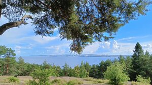 Чёртов стул (Republic of Karelia, Petrozavodsk, Botanical Garden, Skalny spusk), doğa  Petrozavodsk'tan