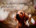 Romanova's Empire (8 Marta Street No:9), evcil hayvan yetiştiricileri  Himki'den