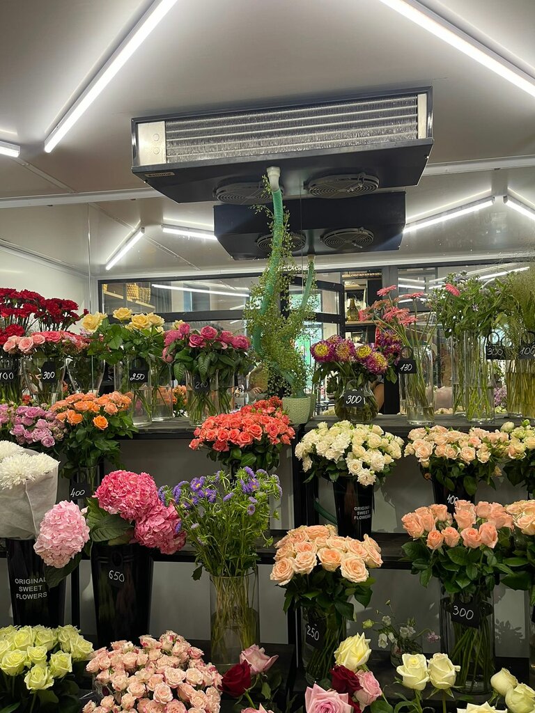 Endüstriyel buzdolapları Belluna, Moskova, foto