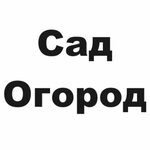 Сад Огород (Oktyabrskiy Avenue No:20), sera ve bahçe ürünleri  Petrozavodsk'tan
