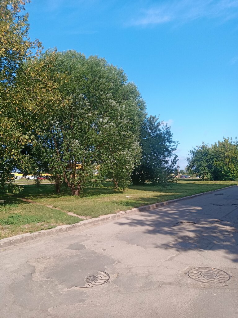 Kültür ve eğlence parkları Ekologov Alley, Cherepovets, foto