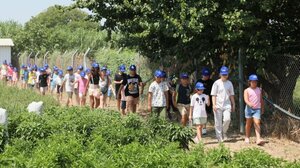 Kültür ve eğlence parkları Avrupa Birliği Parkı, Efeler, foto