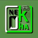 НеОкна (Vokzalnaya ulitsa No:74Е), pencere onarımı  Mejdureçensk'ten