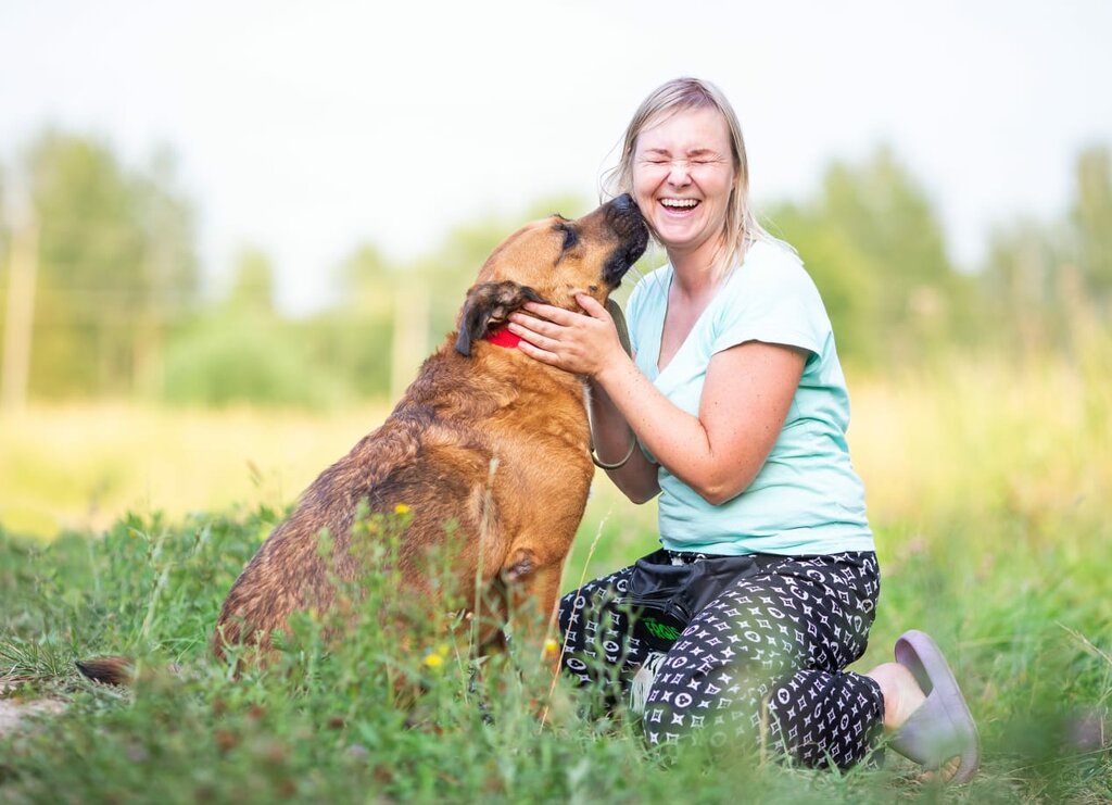 Pet otel Зоогостиница 1, Moskova ve Moskovskaya oblastı, foto