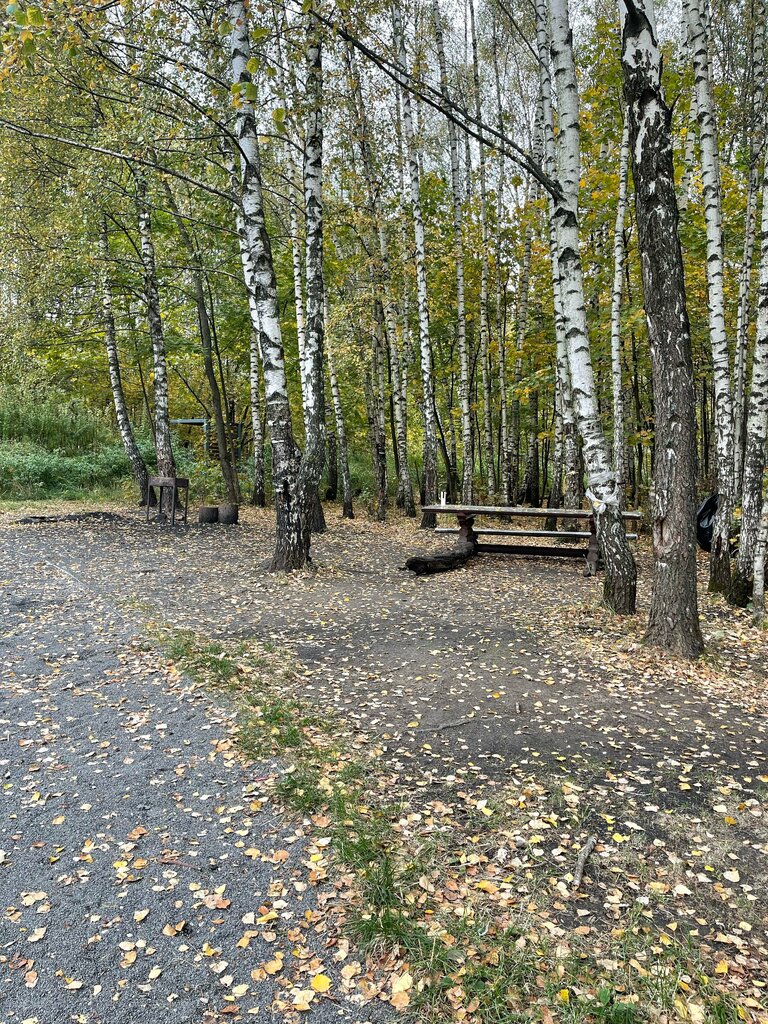 Çardak Gazebo, Moskova, foto