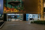 Hotel Caps – El Dorado (86th Lane Avenue No:55A-75, City of Bogota), otel