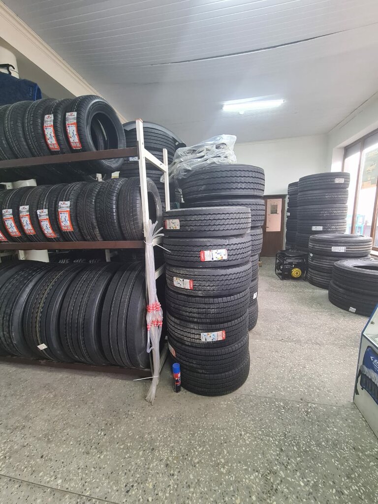 Jant ve lastikçiler Shin Line Karabulak, Türkistan eyaleti, foto