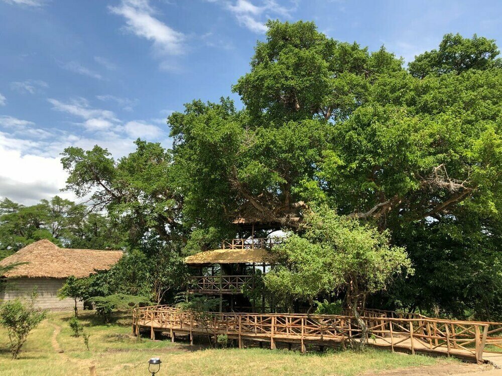 Otel Mara Sweet Acacia Lodge, Dünya, foto