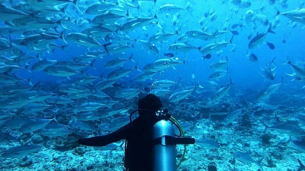 Otel Umet Stay, , foto