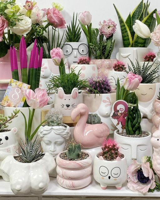 Çiçekçiler Kaktus, Almatı, foto