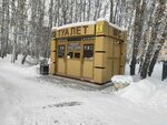 Туалет (Tyumen, skver Beryozovaya Roshcha), tuvalet  Tiumen'den