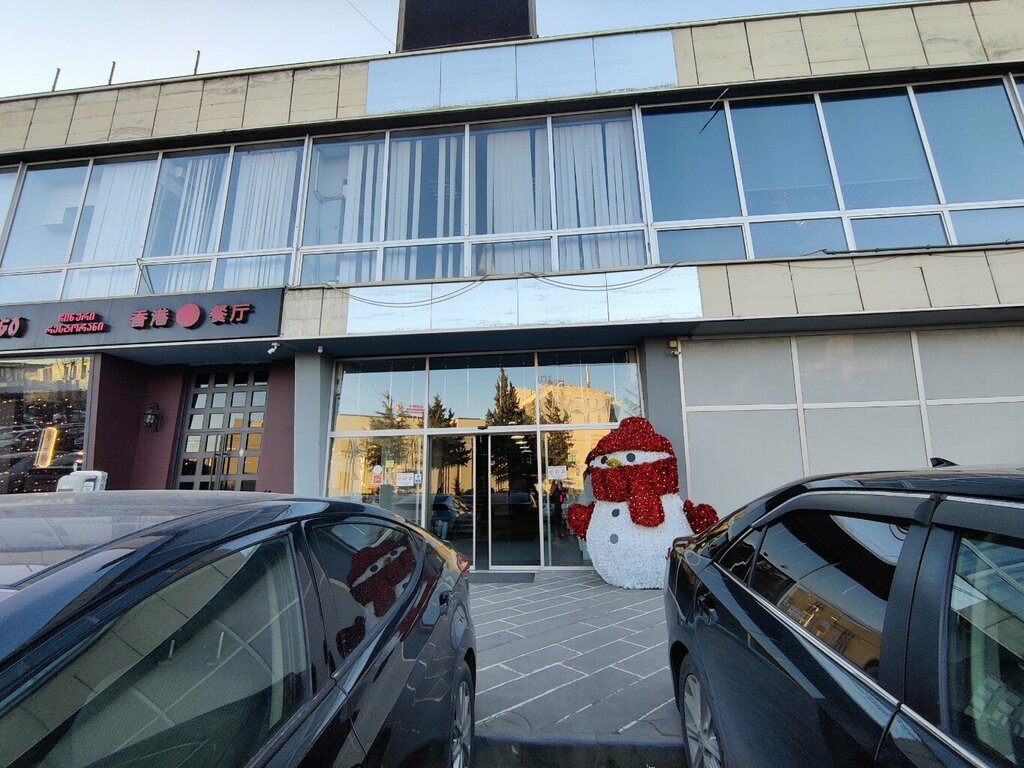 i̇ş merkezi Mioni Center - მიონის ცენტრი, Tiflis, foto