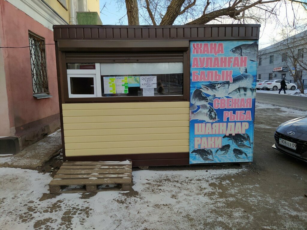 Balık ve deniz ürünleri Fresh Fish, Karağandı, foto