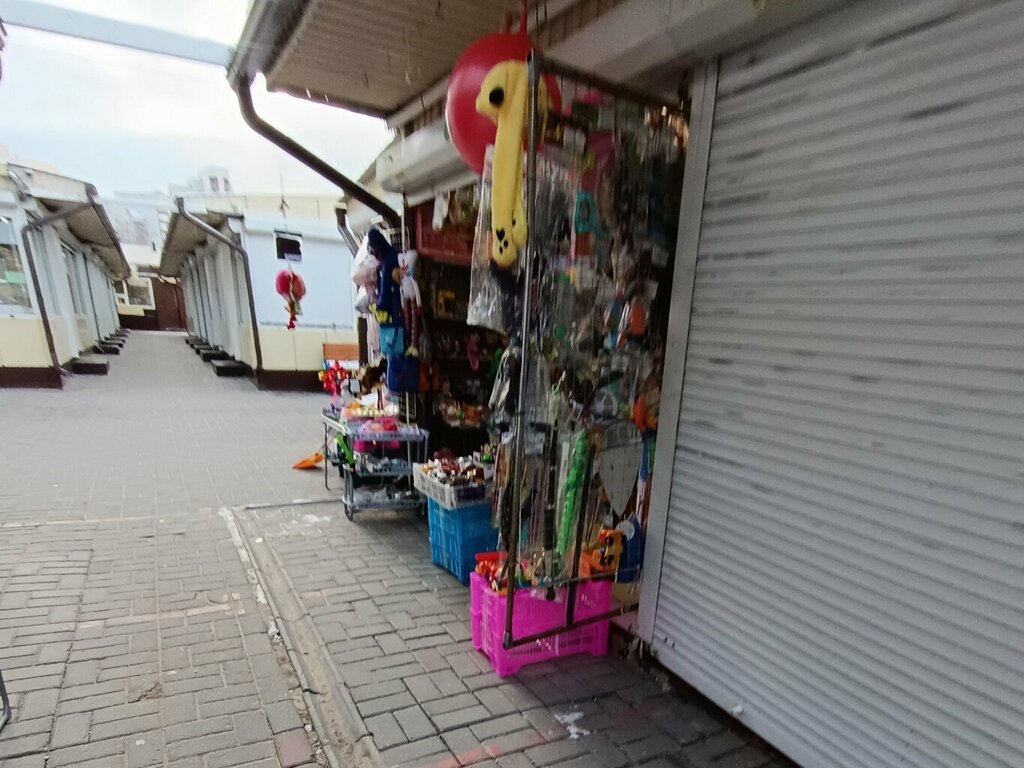 Çocuk oyunları ve oyuncakları Детские игрушки и игры, Voronej, foto