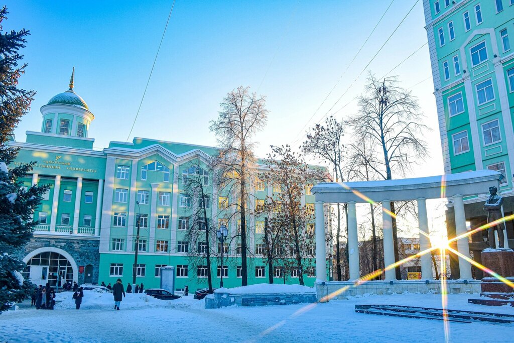 Üniversiteler Udmurt State University, Izhevsk, foto