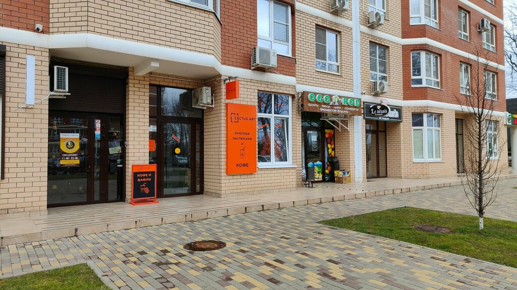 Çiçekçiler Cactus Art, Krasnodar, foto