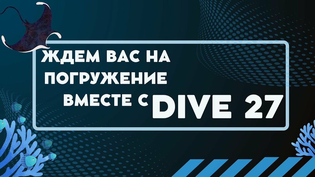 Dalış kulüpleri ve eğitim merkezleri Dive27, Habarovsk, foto
