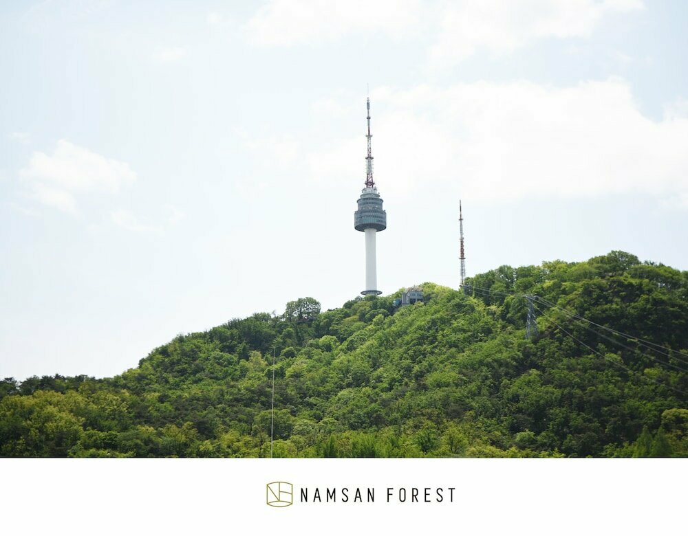 Otel Namsan Forest Myeongdong Station, Seul, foto