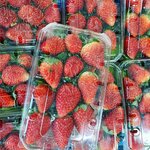 Wholesale Market (Almaty kóshesi No:68, Muhametjan Túımebaev aýyly), manavlar  Almatı eyaletinden