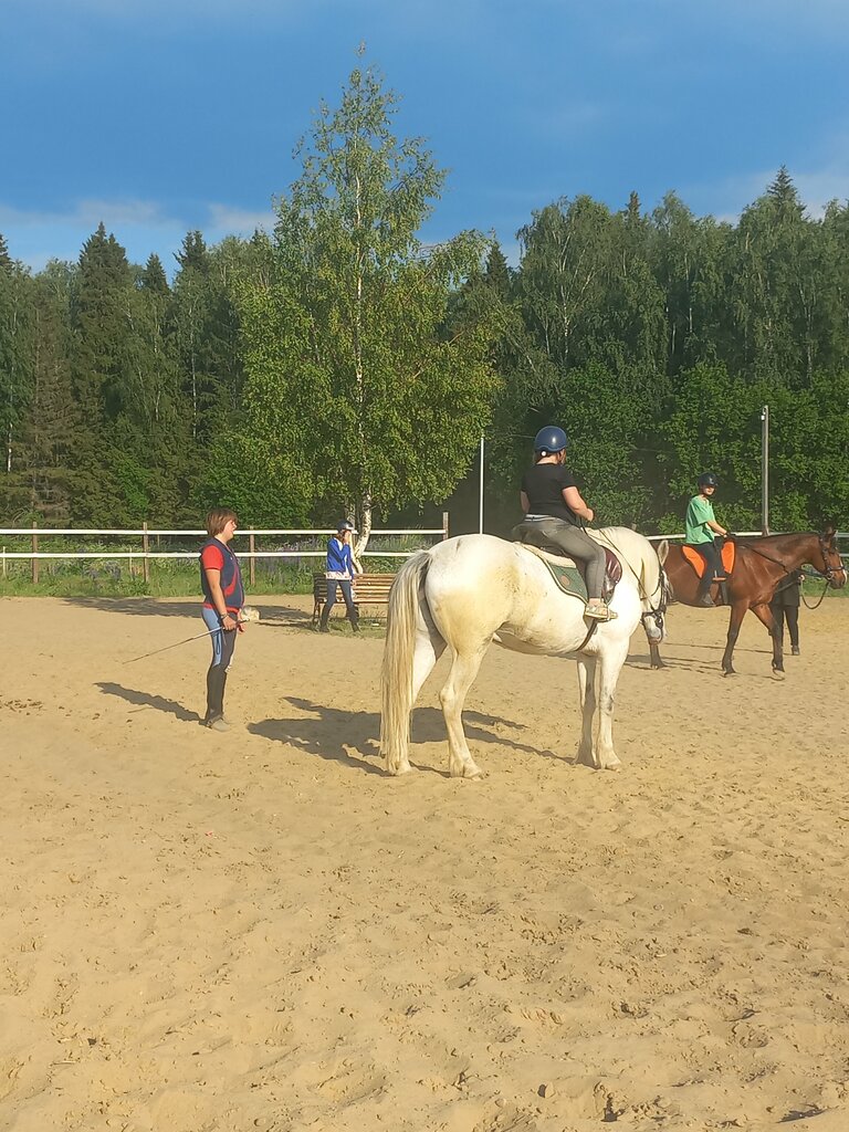 At ve binicilik kulüpleri Манеж, Vladimirskaya oblastı, foto