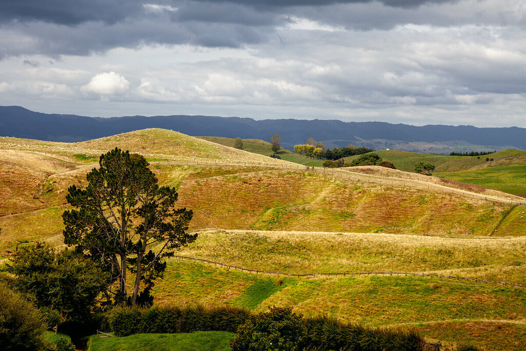 Giriş işareti Bag End, Dünya, foto